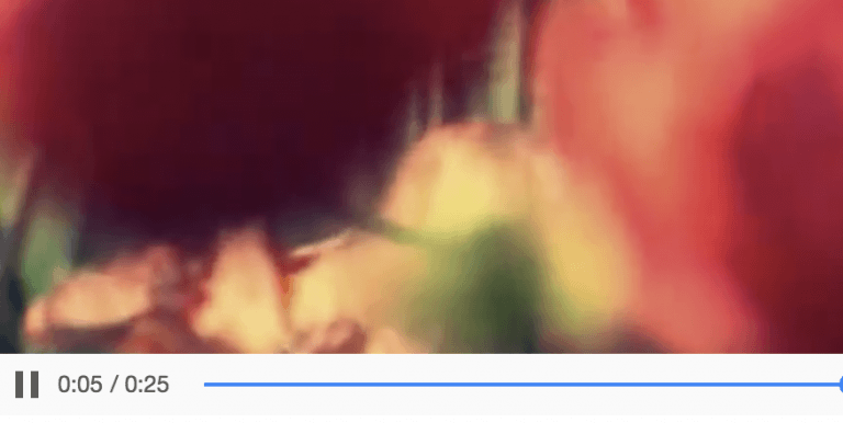 CSS・JavaScript・GIFアニメーションやVideoタグの動画の止め方 | iwb.jp